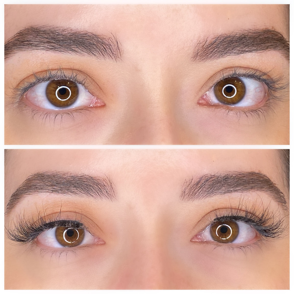 Flawless Lashes – BAM GLAM